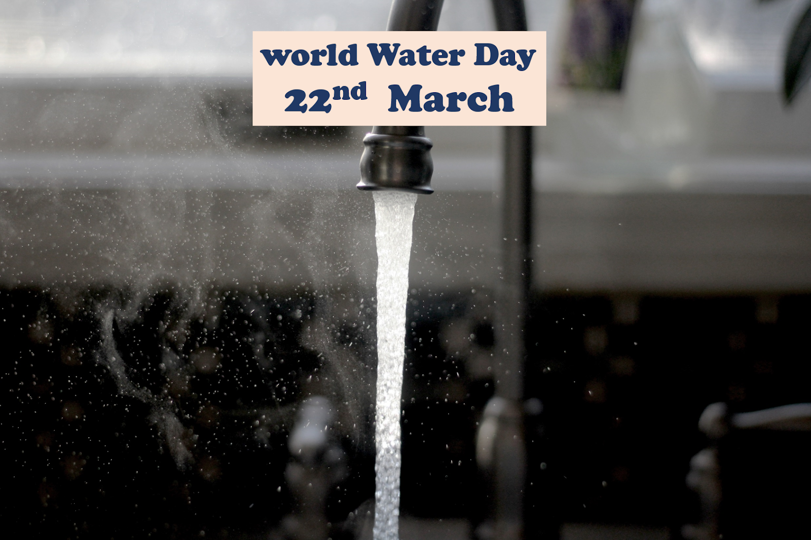 What is the main objective of celebrating Water Day?