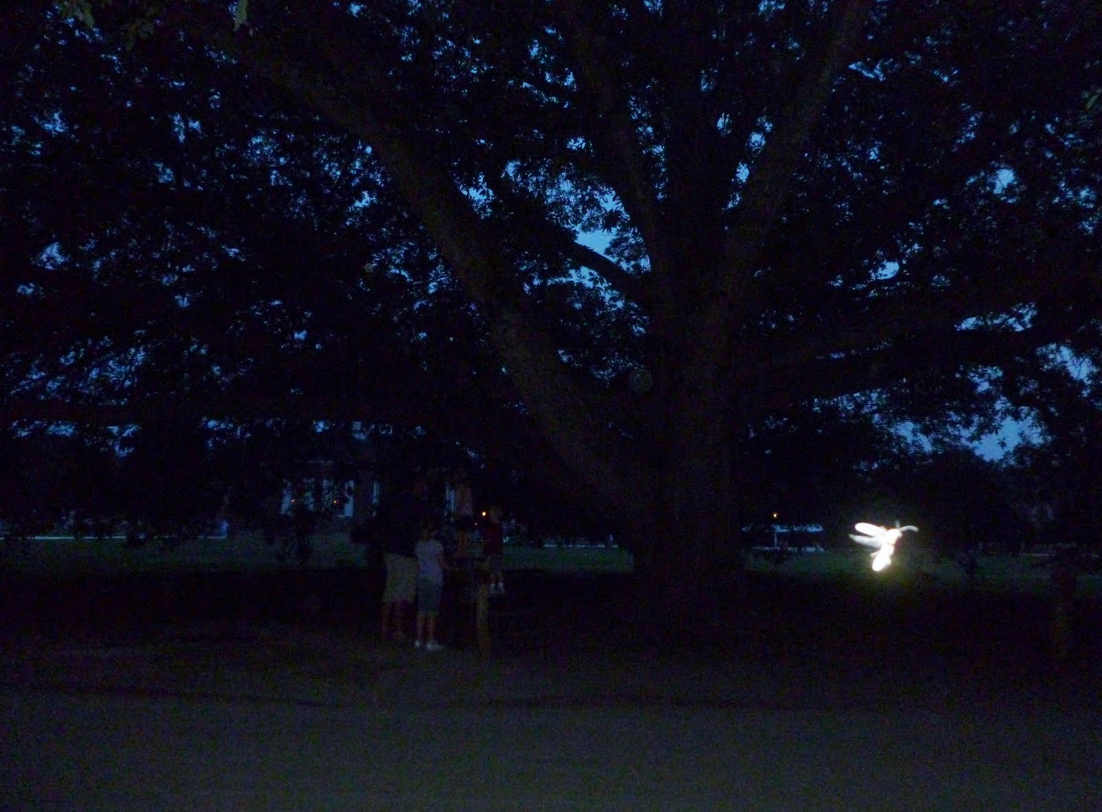 John and Patsy Christoffersen