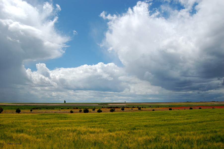 Ahoraquemeacuerdo AQMA: Villa romana de Almenara-Puras