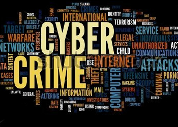 Idiotic Networkers : Organized Cyber Crime