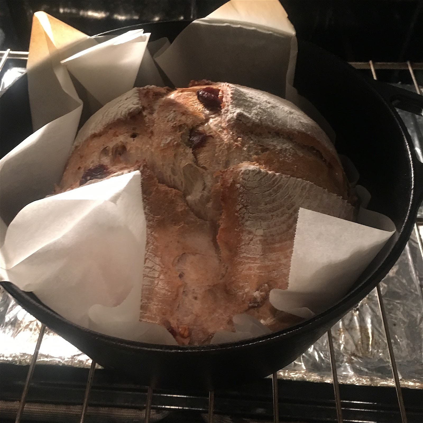 Longan Walnut Artisan Bread Made in Dutch Oven (桂圓核桃麵包）