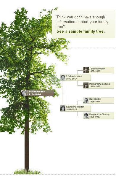 IT Online Technical Support: What is a Family Histry or Family Tree and ...