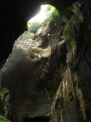 Conservation At Its Finest: April 2013