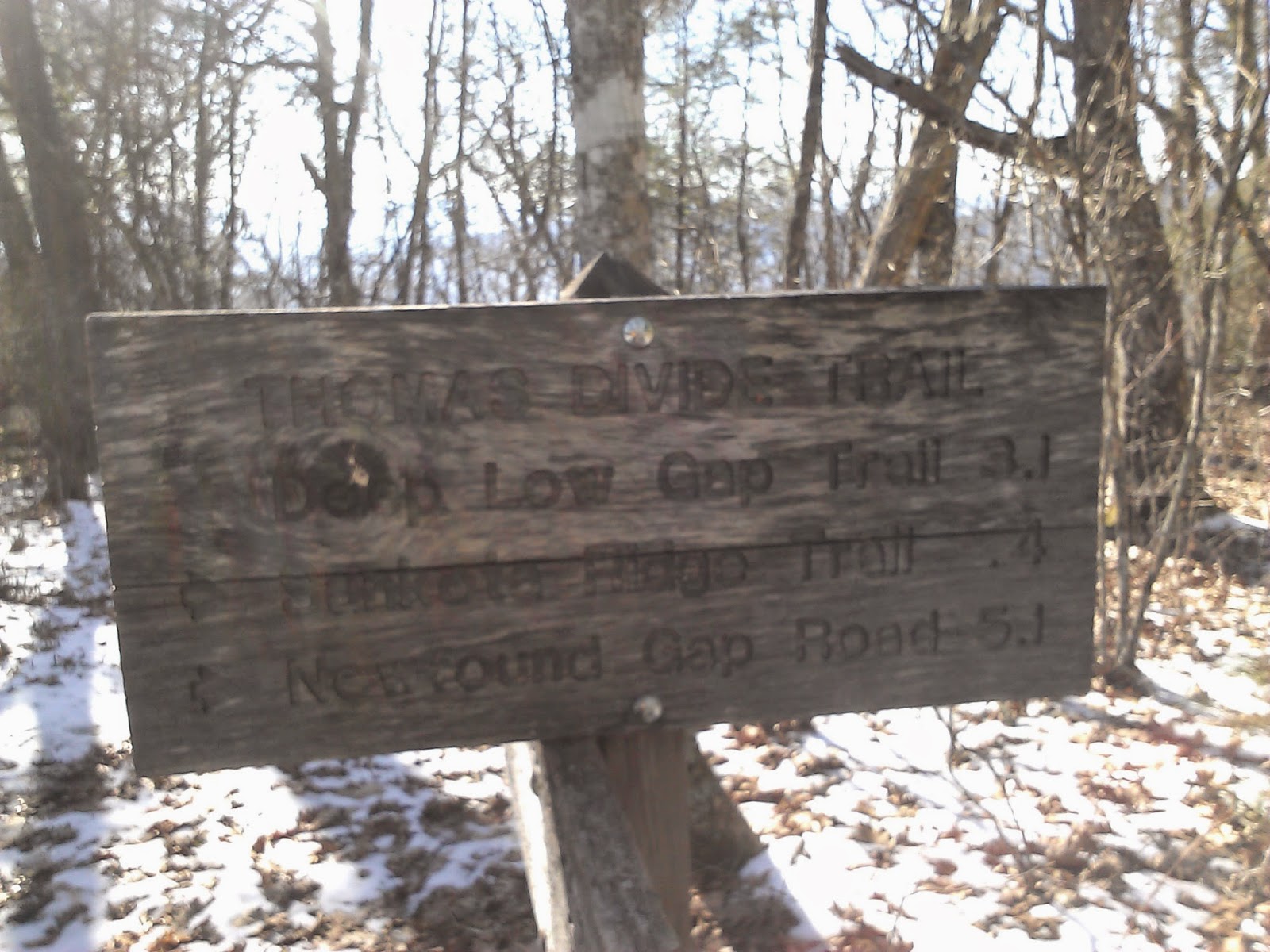 Hikes: Deep Creek - Martins Gap - Sunkota Ridge - Thomas Divide