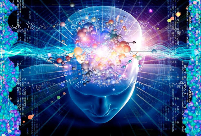 DACTYLIOTHECA: LA LARGA BÚSQUEDA