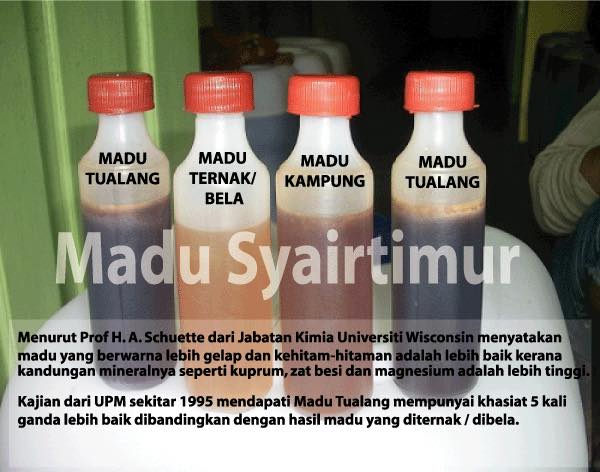 Ubat Asma Terbaik: Utama