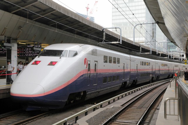 Tokyo Railway Labyrinth: The E1, Retirement from Regular Trains