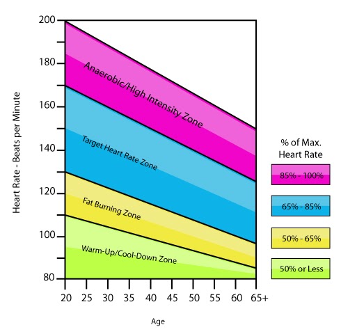 Getting Fit: Heart Rate Training Zones