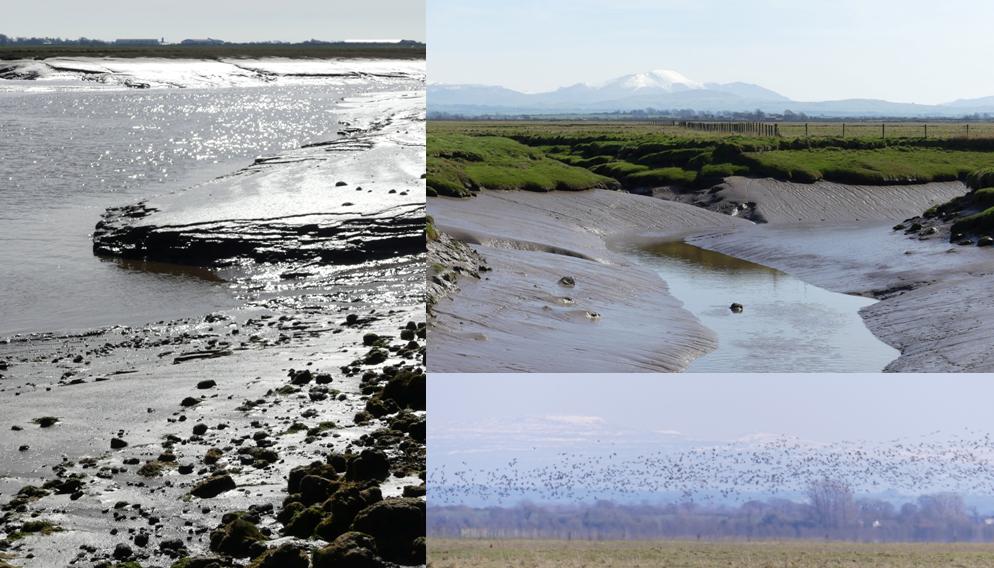Julia Garner : Grune point.