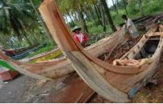 Tanaman Bayur (pterosperium Javanicum Jungh) - ATH Aneka Tanaman Hias ...