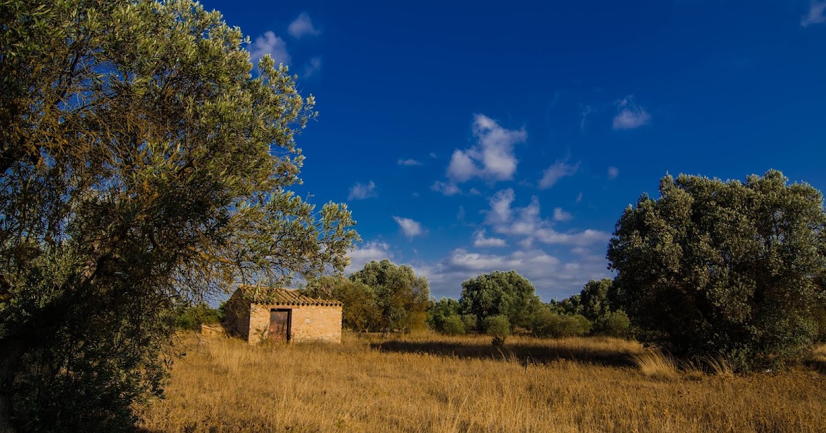 Bons moments. Àngels: Per la Reserva natural de Sebes