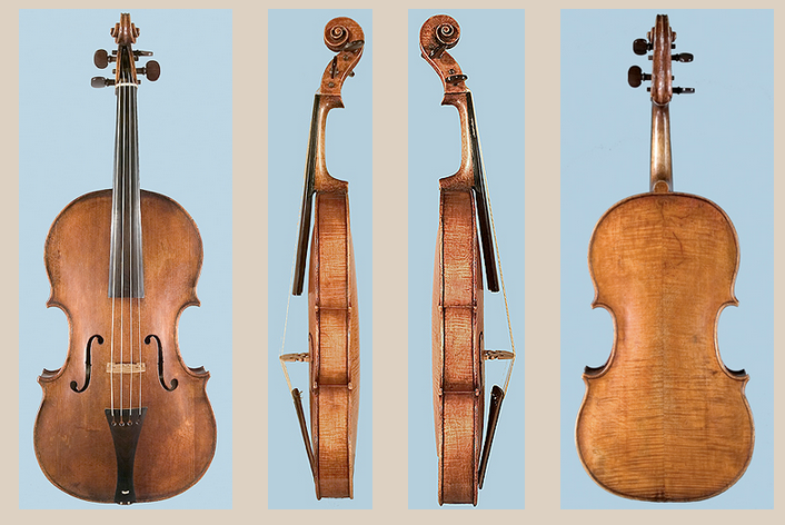 The Violin Shop: Your (Violin) Neck Used To Be Shorter