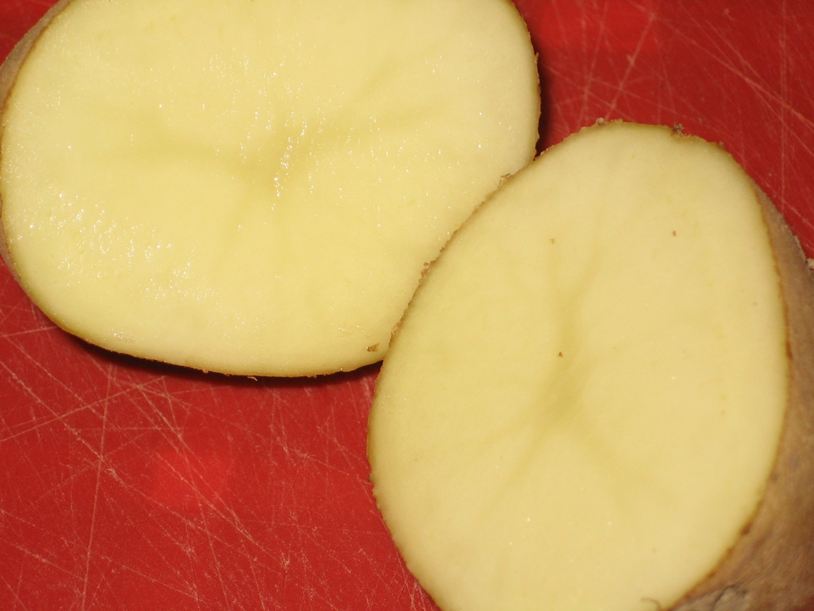 Mamacita Spins The Globe: Can I Stamp Your Passport?