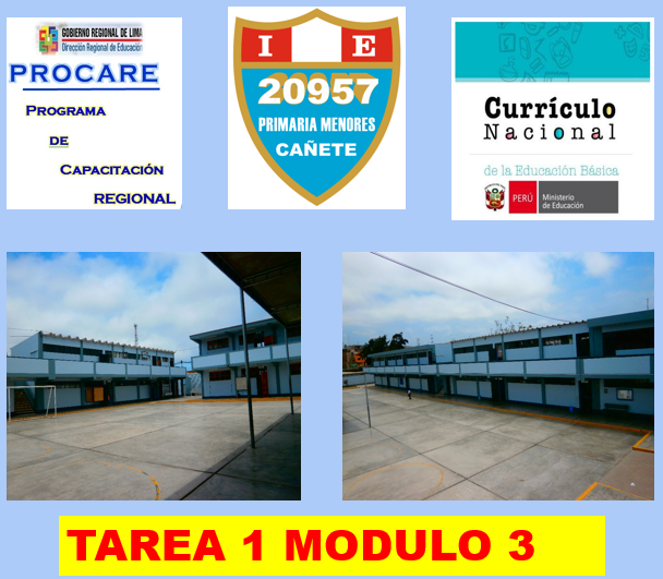 IEP N° 20957 - SEPULVEDA DE MENORES (Cañete)