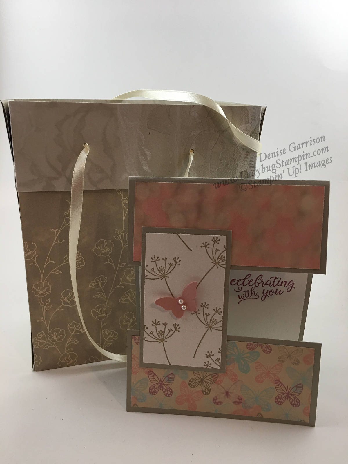 Ladybug Stampin: Split Panel Card & Gift Bag - Falling for You