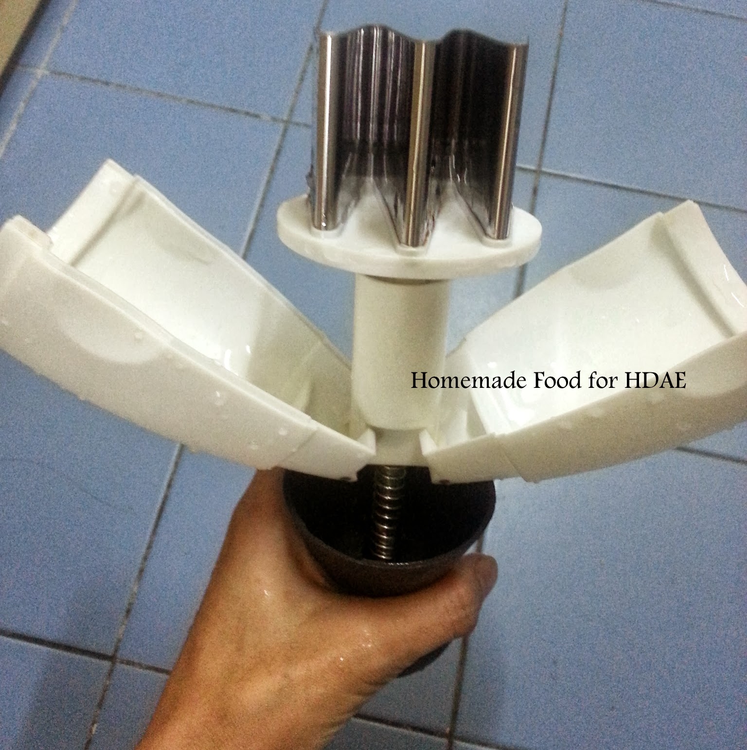 Mommy's Diary of Life: CARA MENGGUNAKAN SLAP CHOP CARA SIMPLE