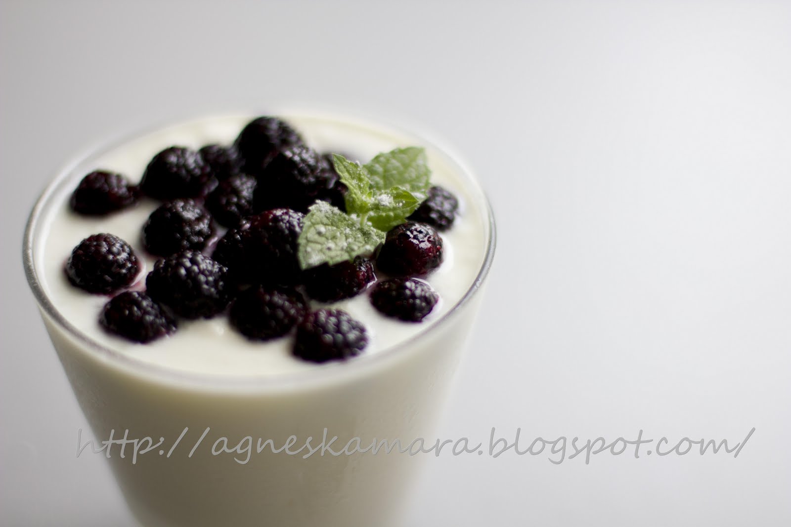 Naminis jogurtas su uogomis