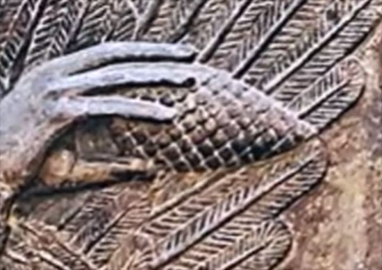 Cenuitica: Tablillas sumerias, interpretación cenuítica (5)