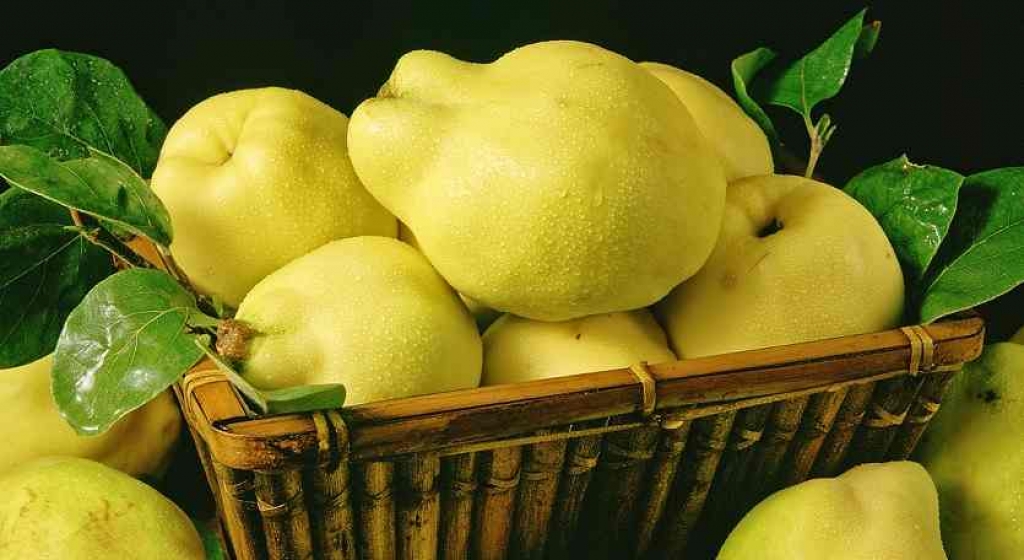 Dunja - Najbolji lijek jeseni, pogledajte šta sve liječi!