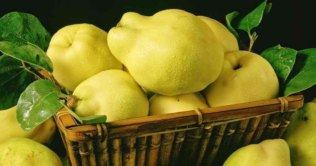 Dunja - Najbolji lijek jeseni, pogledajte šta sve liječi!