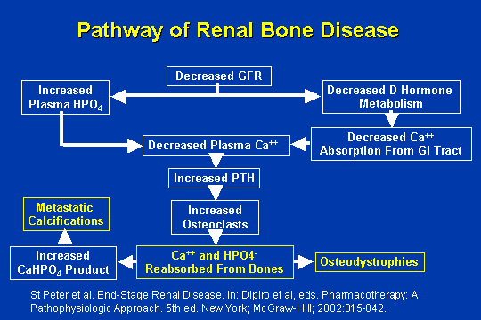 Easy Nephrology