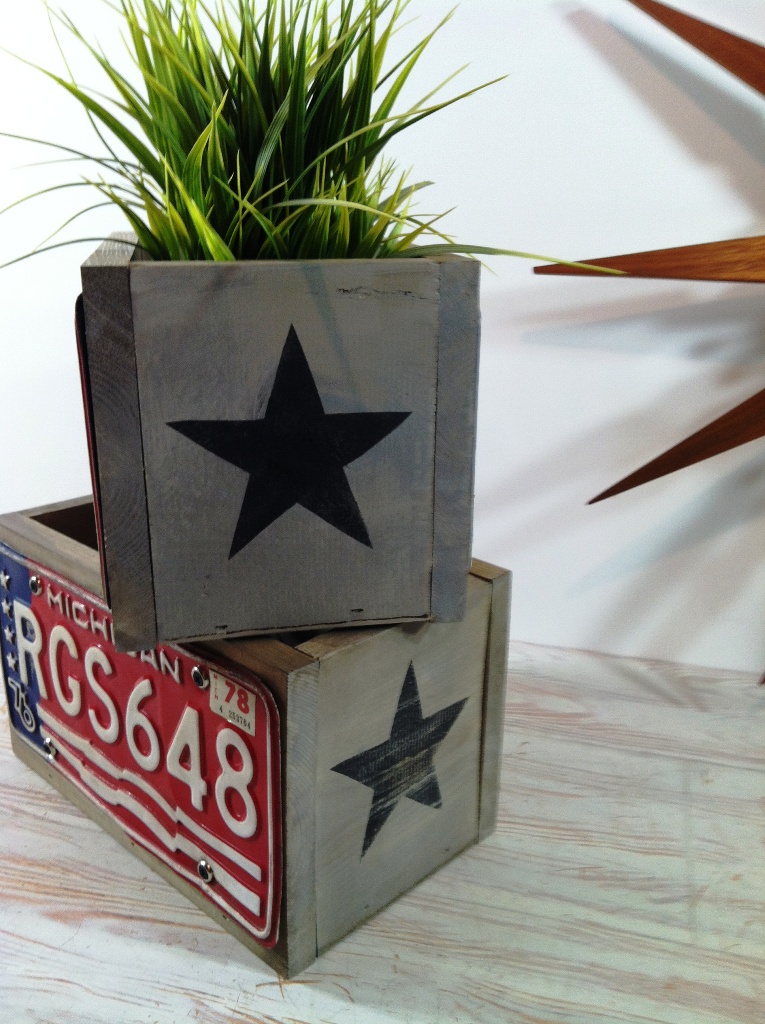 Vintage Diana: Liscense Plate Boxes