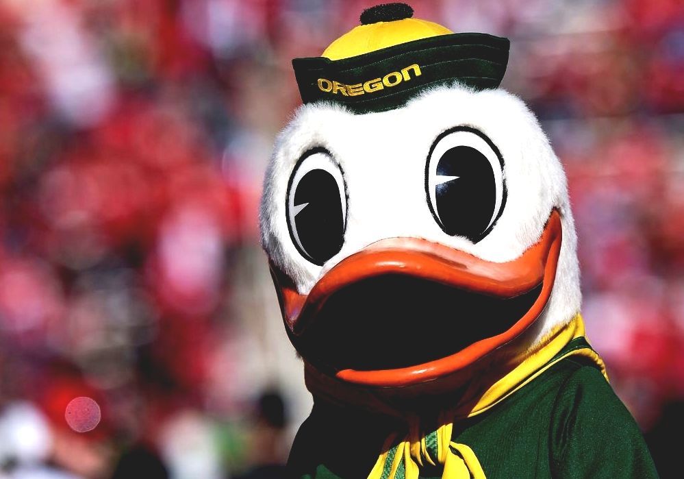 The Oregon Duck - Oregon Ducks Puddles