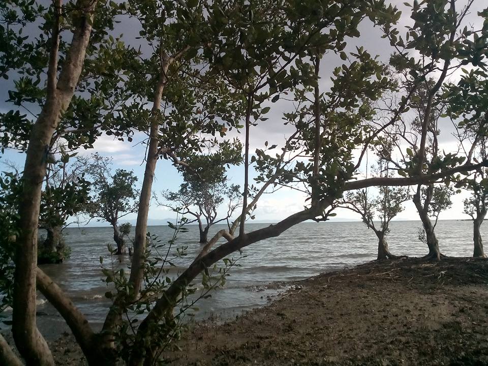 The Wandering Soul Travels : Escapades at Soliyao Beach in Pitogo, Quezon