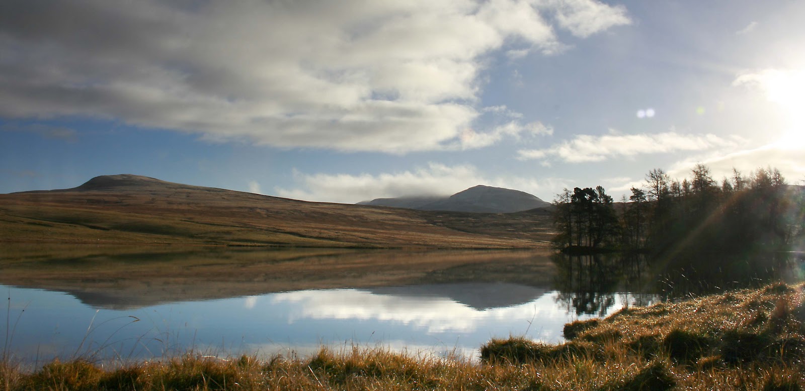 Atholl Estates Ranger Service: Fair-Weather Fowl