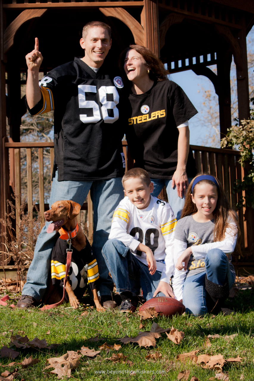 Beyond The Whiskers: Four Wonderful Families - The Steelers Fans