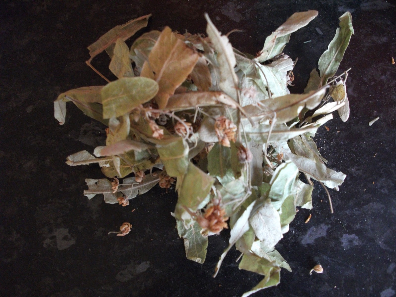 Retetele Amaliei: Teiul