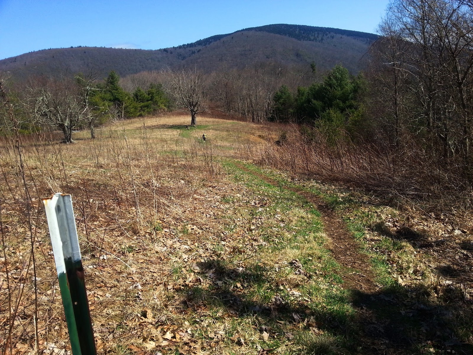 Smoky Scout's Hiking Adventures: AT in TN: Beauty Spot & Unaka Mountain