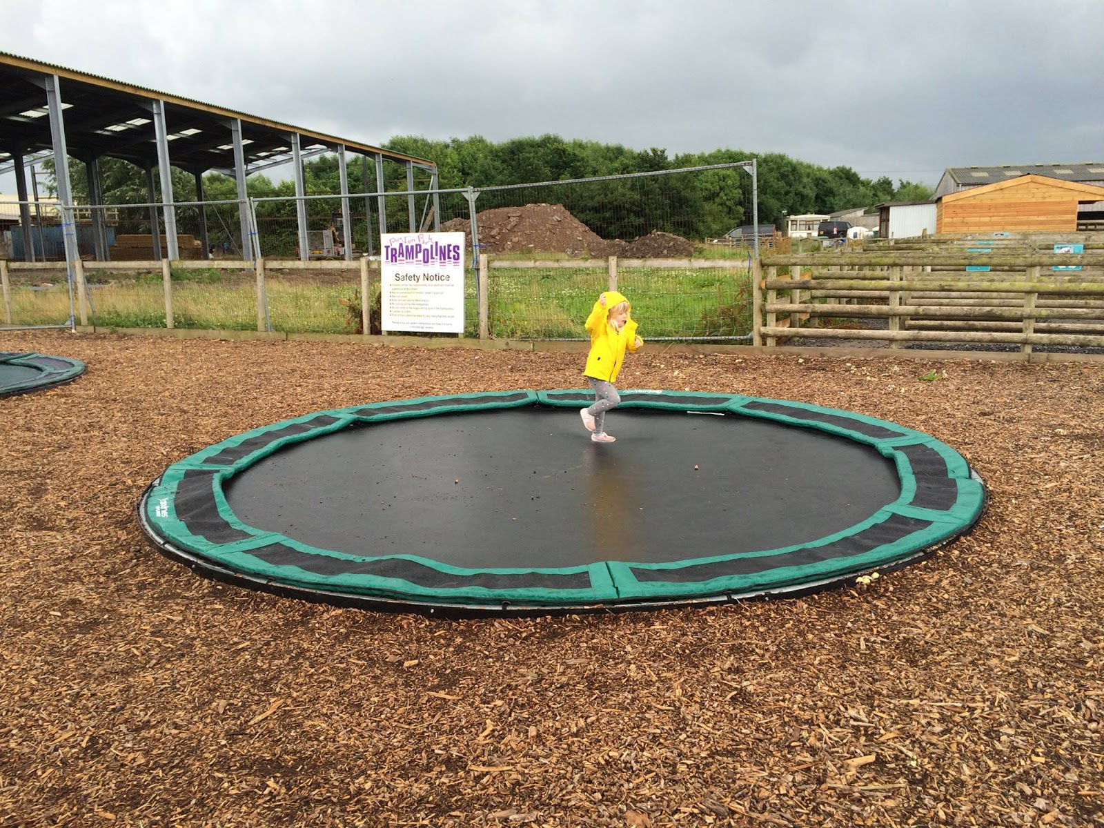 The secrets and surprising benefits of trampolining | Kerry Conway ...