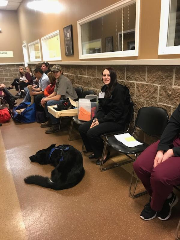 The LCCTC Eagle: January 2018