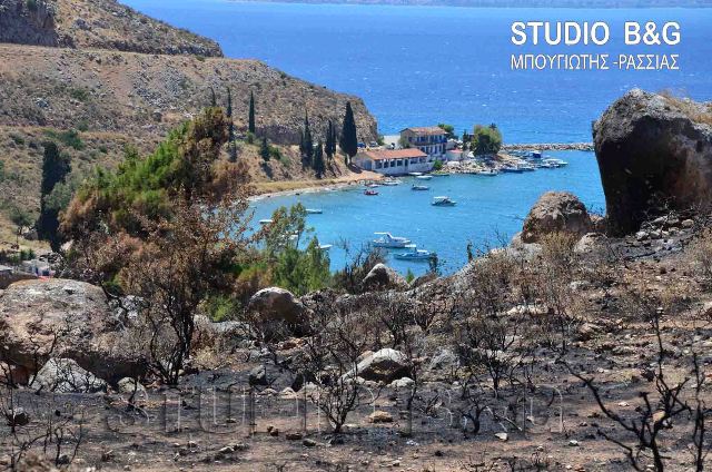 ΤΡΑΓΙΚΗ ΕΙΚΟΝΑ... ΚΡΑΝΙΟΥ ΤΟΠΟΣ Η ΠΑΡΑΛΙΑ ΚΑΡΑΘΩΝΑΣ ΣΤΟ ΝΑΥΠΛΙΟ ΜΕΤΑ ...