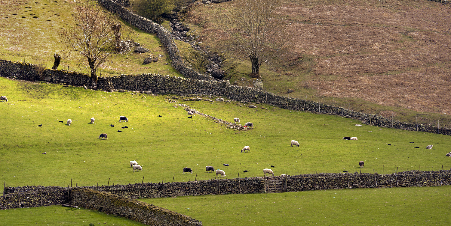 BA (Hons) Photography - Learning Journal: Project 42 : man made landscape