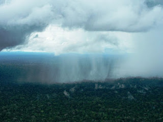 O que são os Rios Voadores