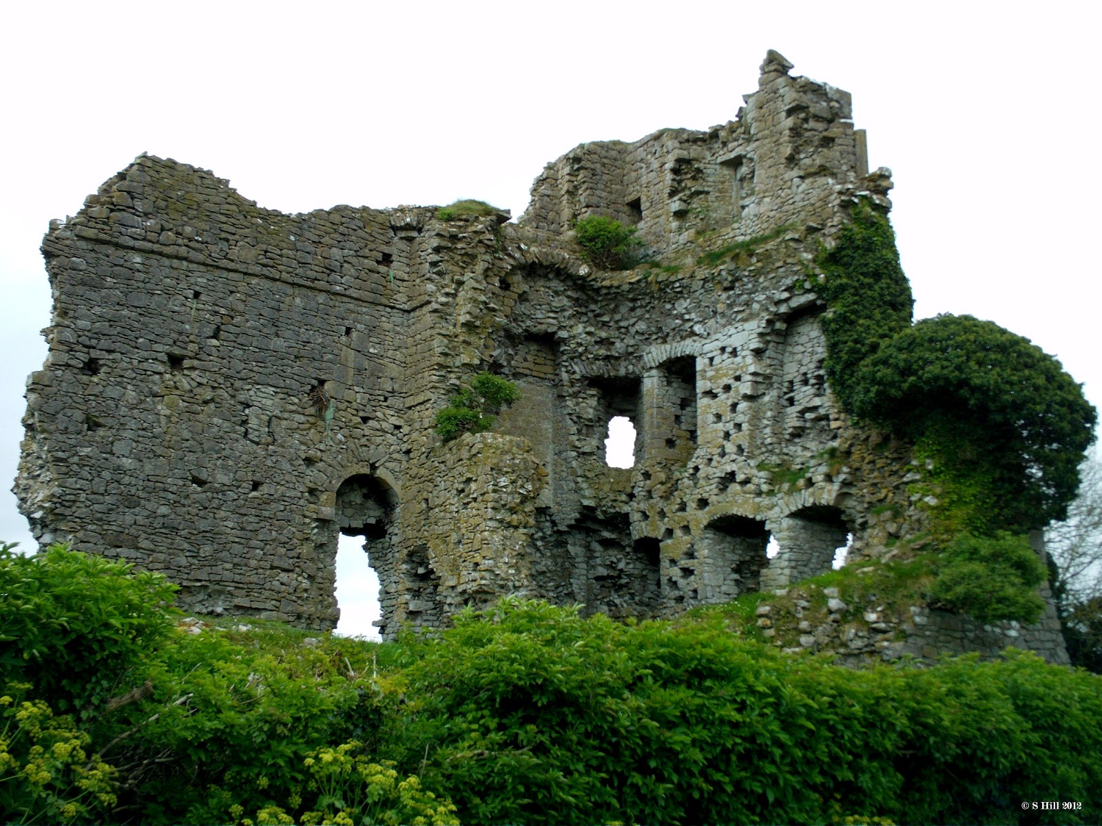 Ireland In Ruins: Carrick Castle Co Kildare