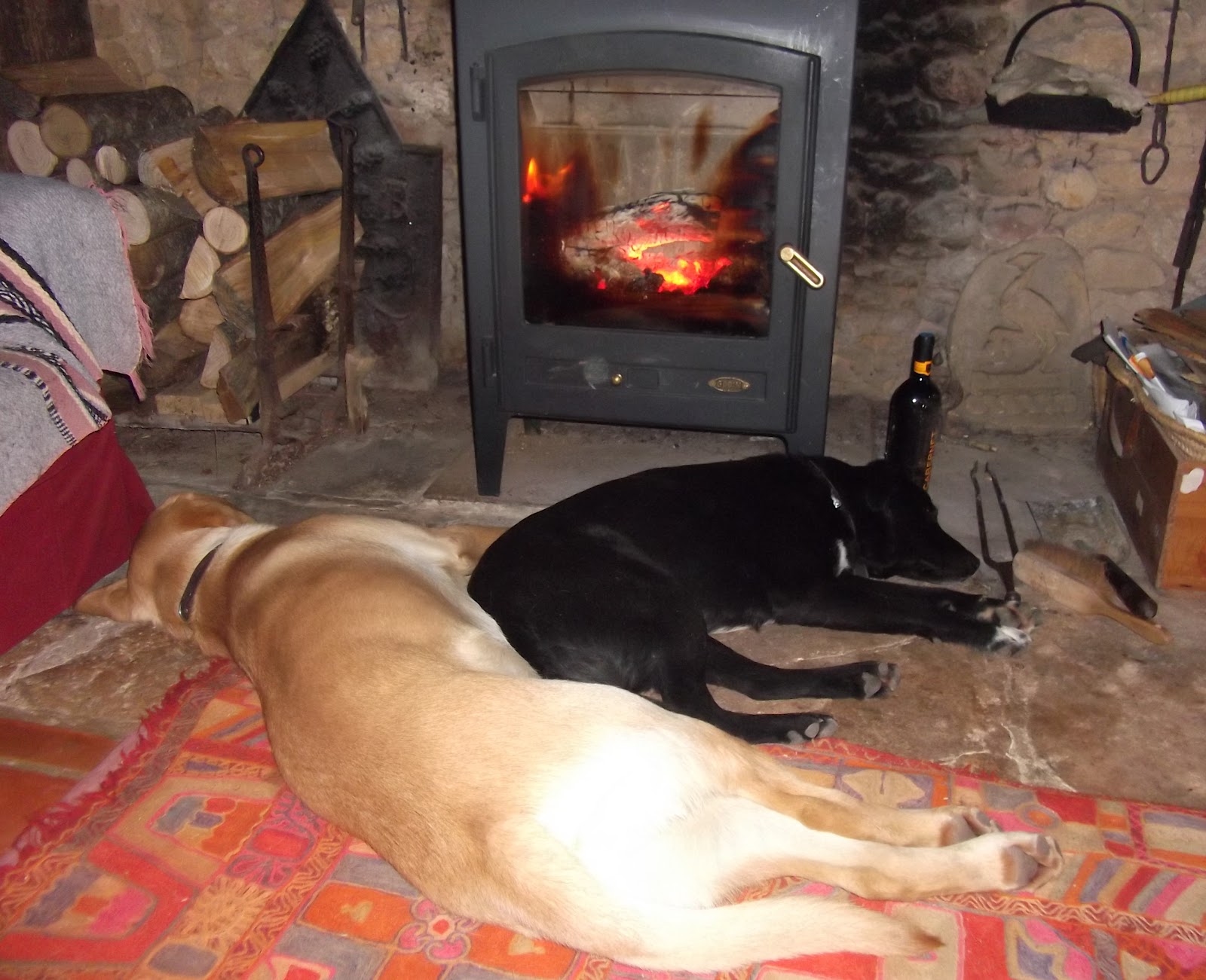 Magnon's Meanderings: Wood Burner.