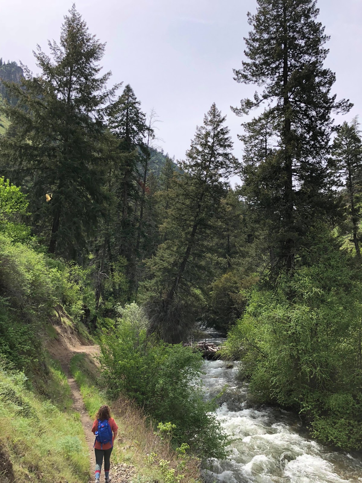 That's Pretty Neat!: Hiking Rapid River Trail For Me!