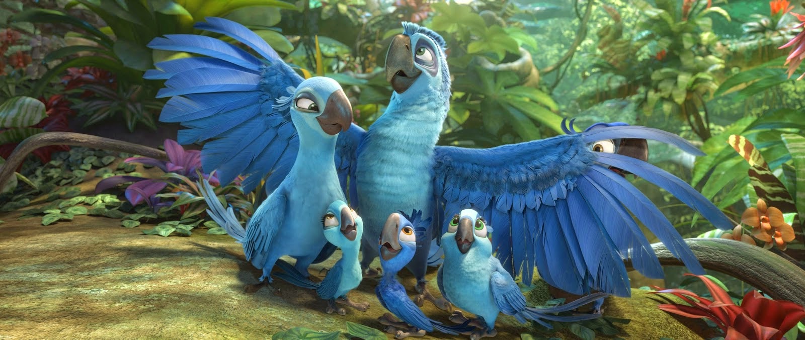 Susan's Disney Family: Rio 2 is now on Blu-ray and DVD be sure to check ...