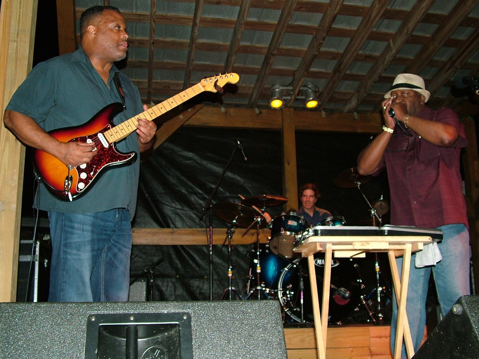 Michael O. Varhola: Colonial Beach Blues Festival 2013