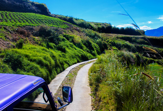 Mt Timbak and Mt Tabayoc of Benguet ~ Geejay Travel Log