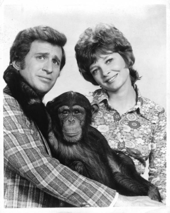 Tralfaz: From Broadway to a Chimp