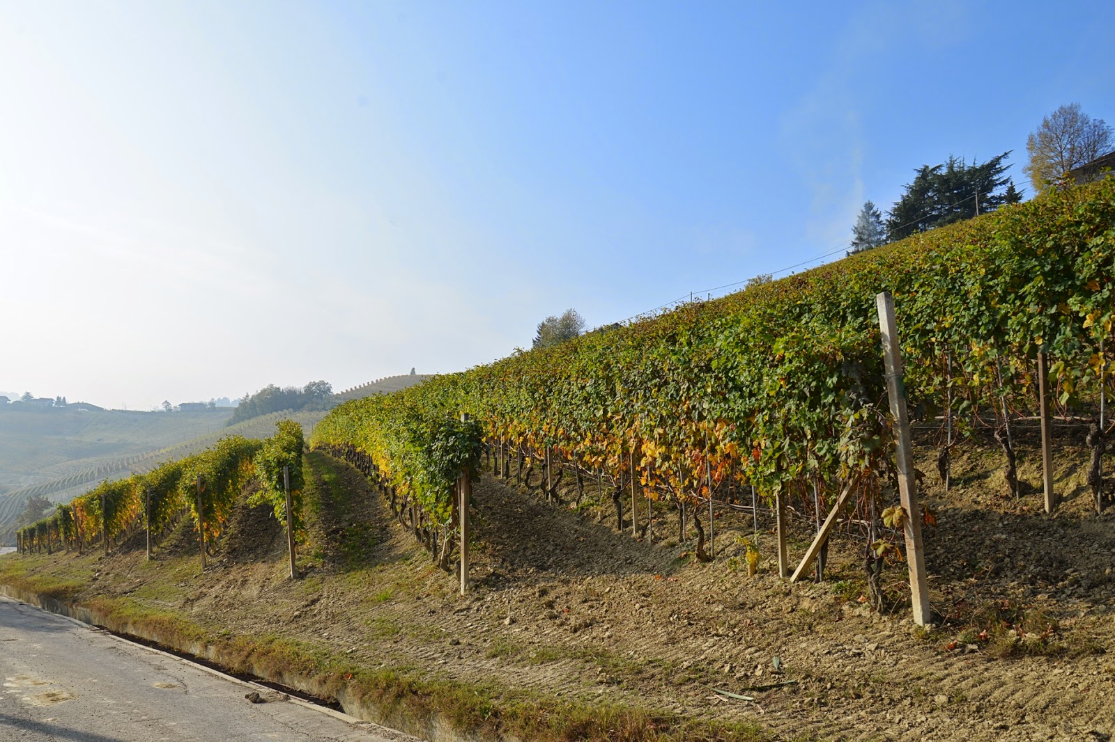 Albino Rocca Winery at Barbaresco | Joie de Vivre - Blog by g4gary