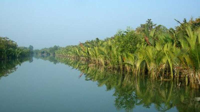 Natural Beauties: The Sundarbans mangrove forest, one of the largest ...