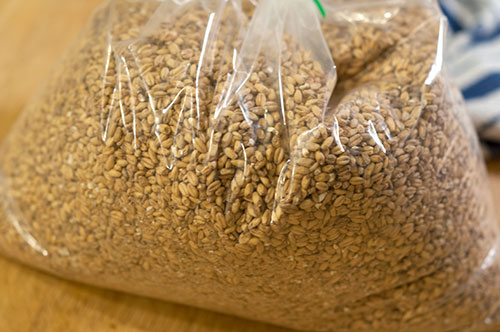 Things wot I Made Then Ate: Malted wheat milled