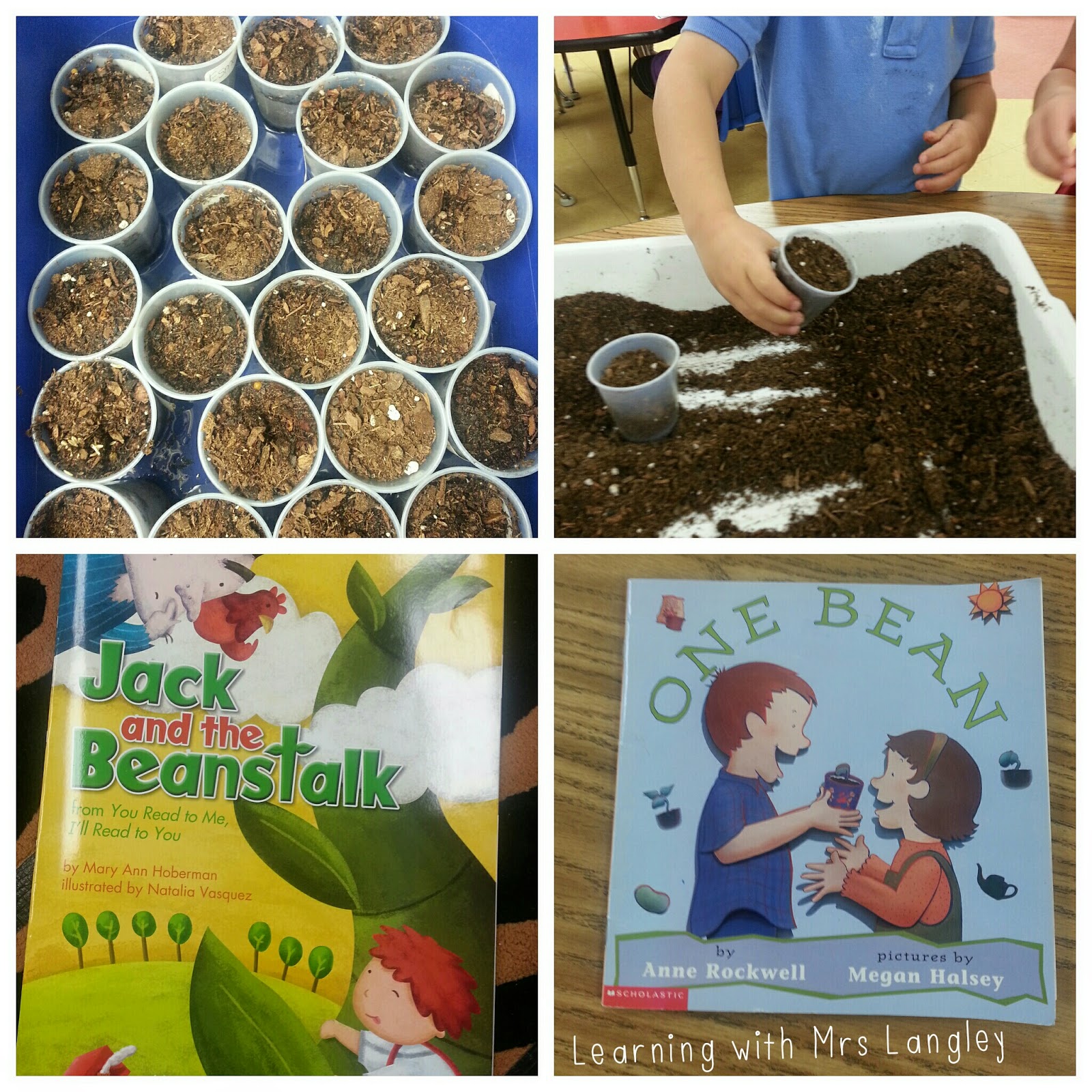 It's Fall Friends! | Learning with Mrs. Langley