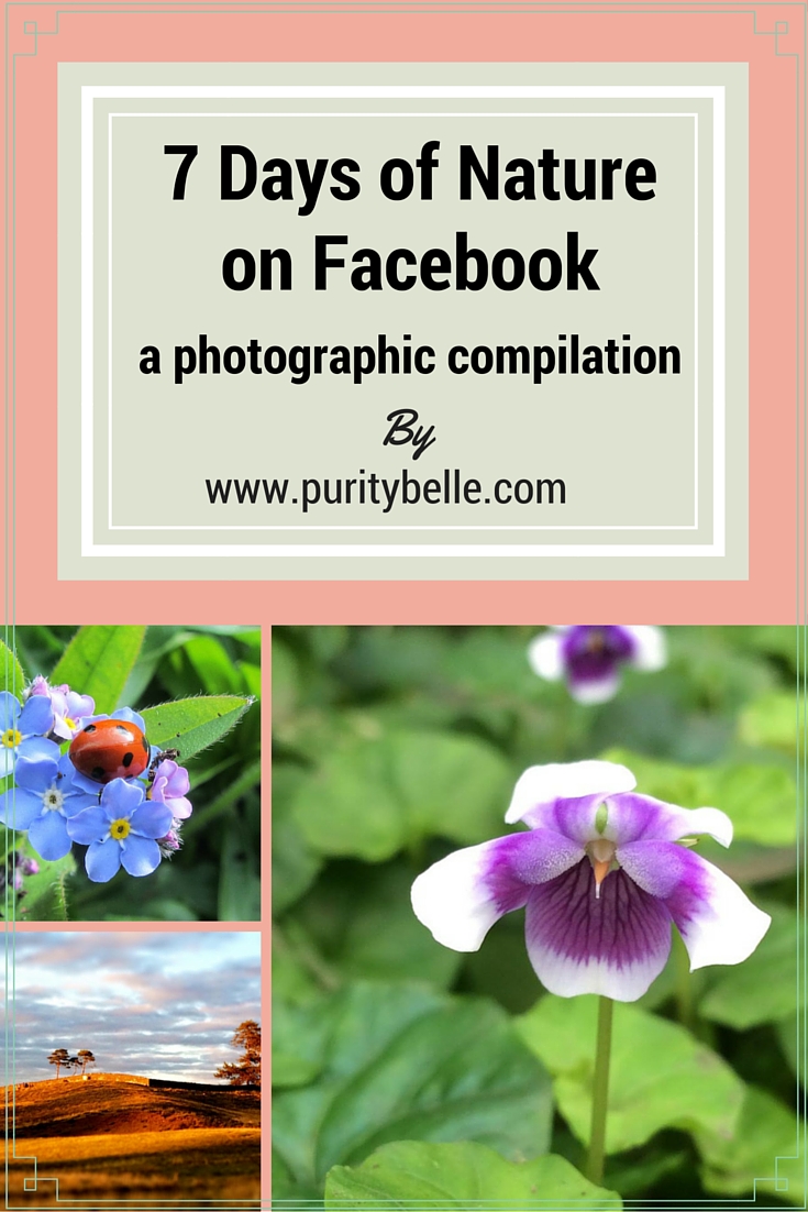 7 Days of Nature on Facebook, a compilation. - Purity Belle ...