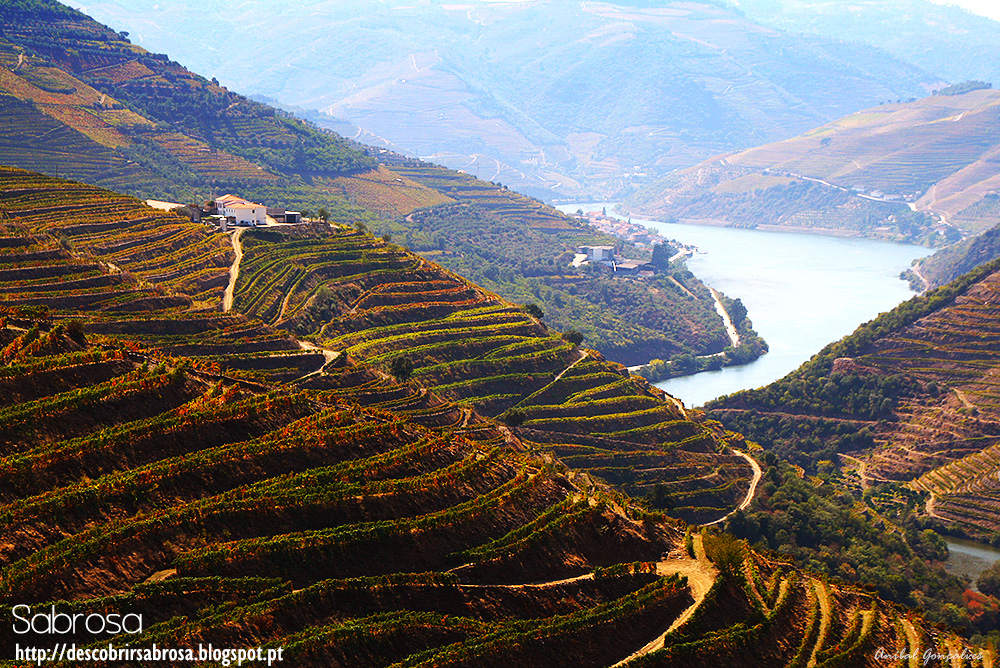 À Descoberta de Sabrosa: Descobrir Sabrosa